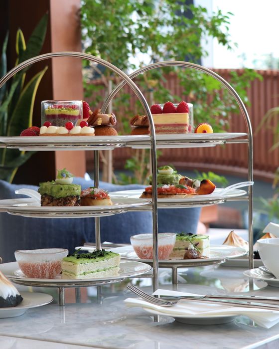 Home [www.albaterrace.com]